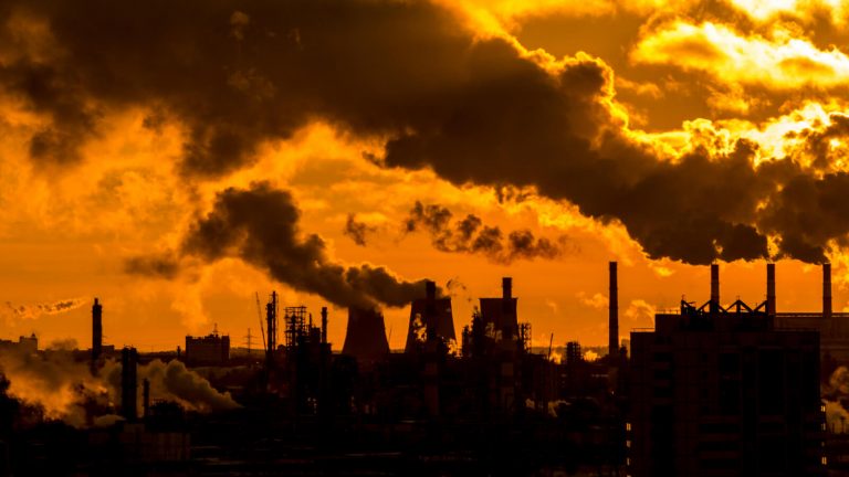 LLC Licenses: Everything You Need to Know