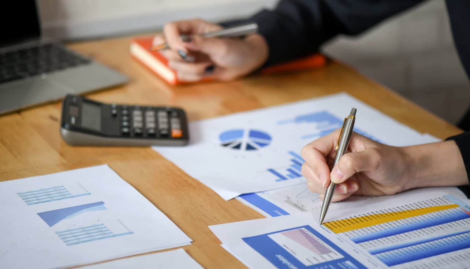 Disregarded Entity LLC: All You Need to Know