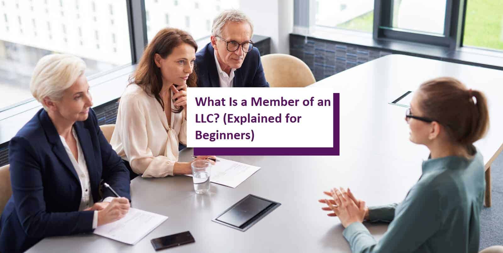 LLC Members: Everything You Need to Know