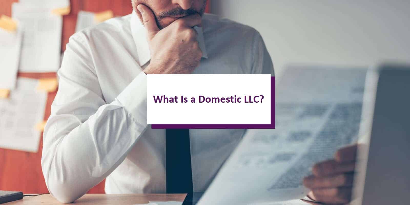 What Is A Domestic LLC Definition Meaning SimplifyLLC what-is-a-domestic-llc-definition-meaning-simplifyllc